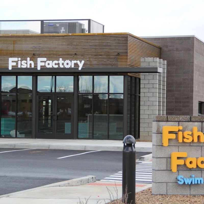 Fish Factory Swim School - Albuquerque | Kid City Guide